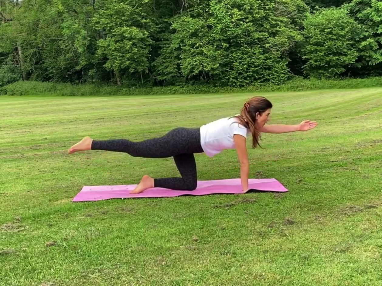 Full Body Plank - Eat Burn Sleep